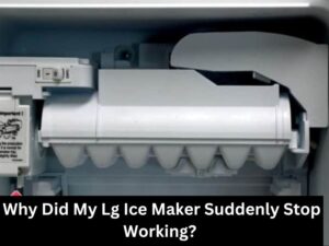 Quick Fix: How To Reset LG Refrigerator Ice Maker?