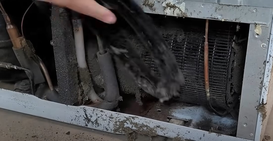 How To Reset A Refrigerator Compressor? Expert Guide