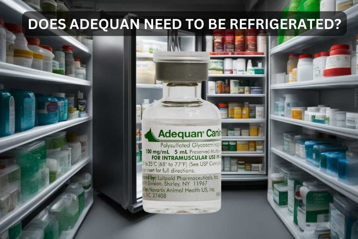 Does Adequan Need To Be Refrigerated?